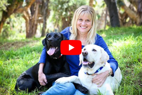 My Perfect Pet - Gently Cooked Pet Food with Fresh Whole Ingredients